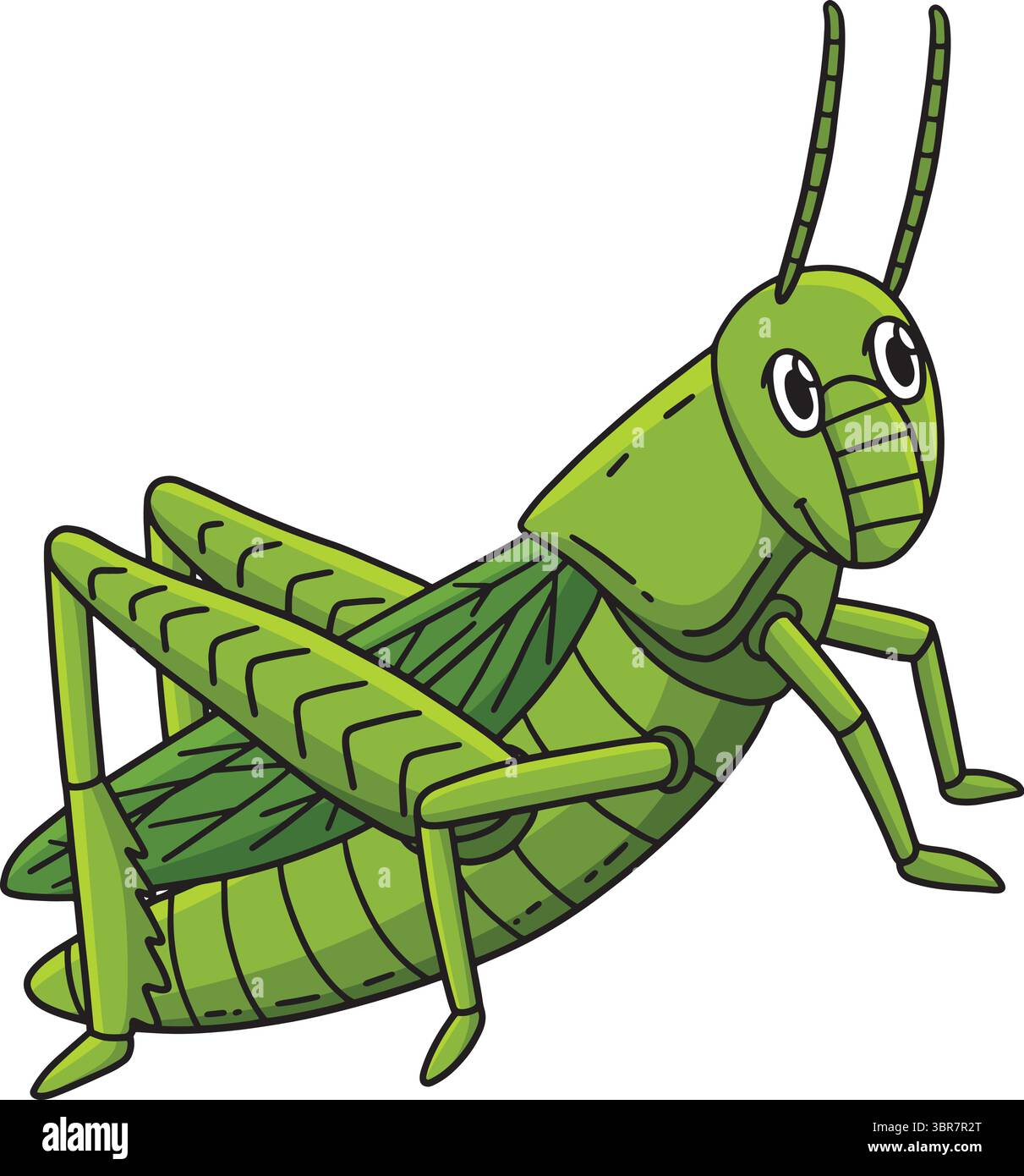 Insect Grasshopper Animal Cartoon Colored Clipart Stock Vector Image ...