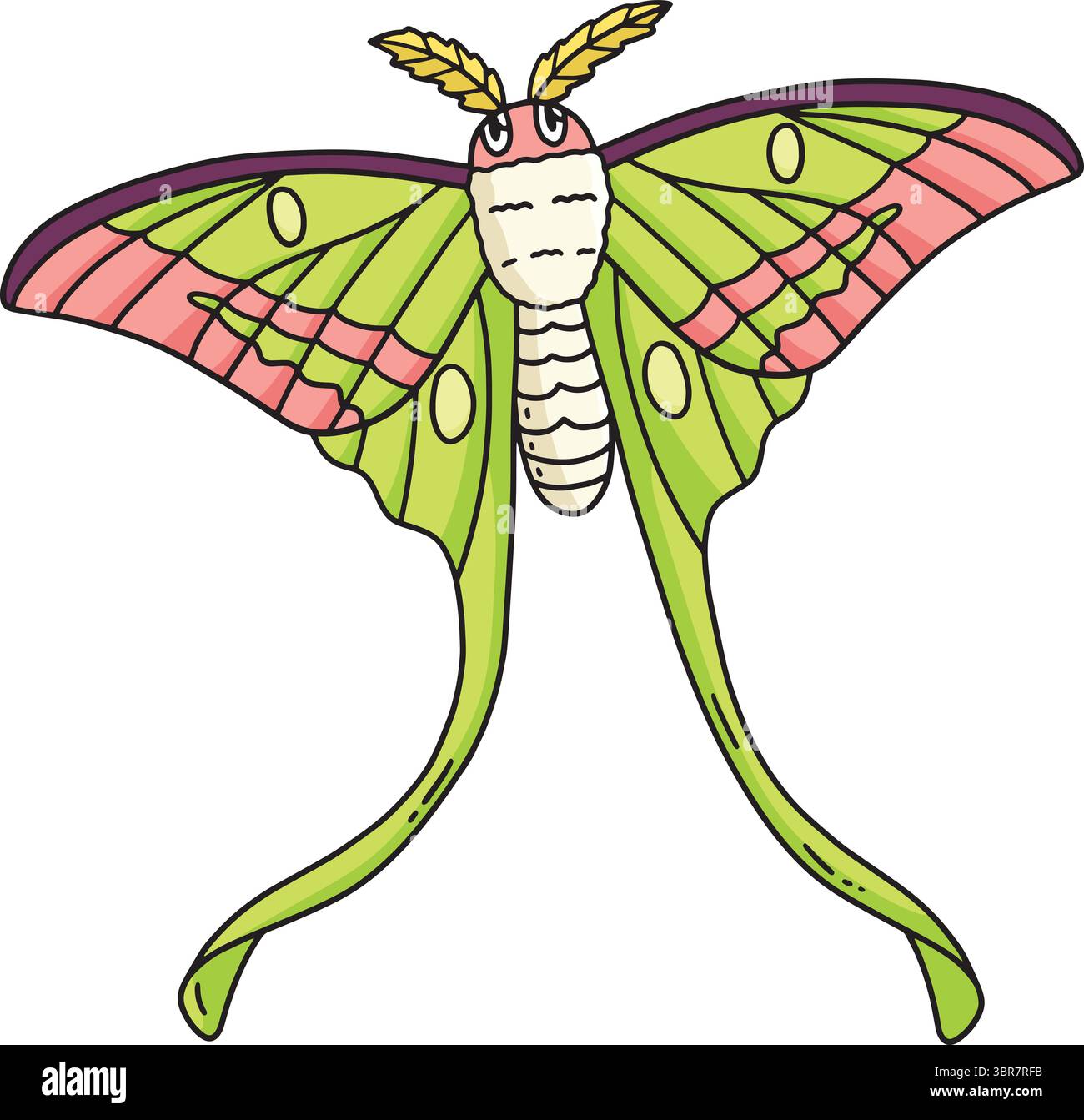 Insect Luna Moth Animal Cartoon Colored Clipart Stock Vector Image ...