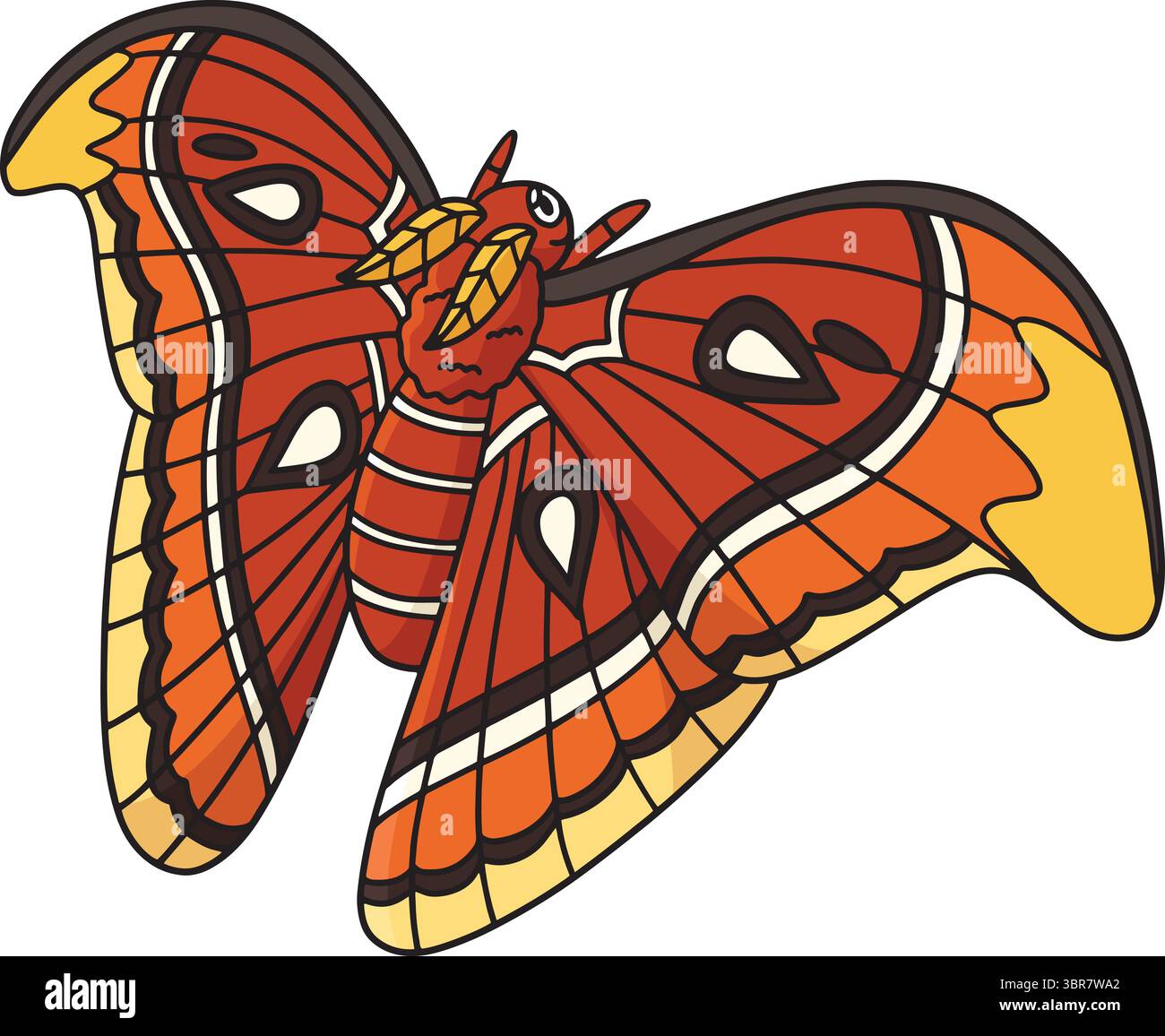 Insect Atlas Moth Animal Cartoon Colored Clipart Stock Vector Image ...