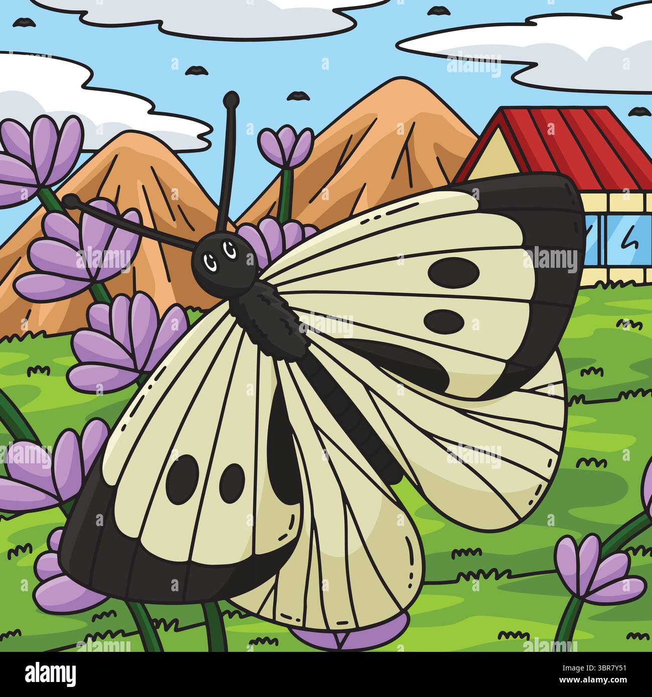 Insect Cabbage White Butterfly Colored Cartoon Stock Vector Image & Art ...