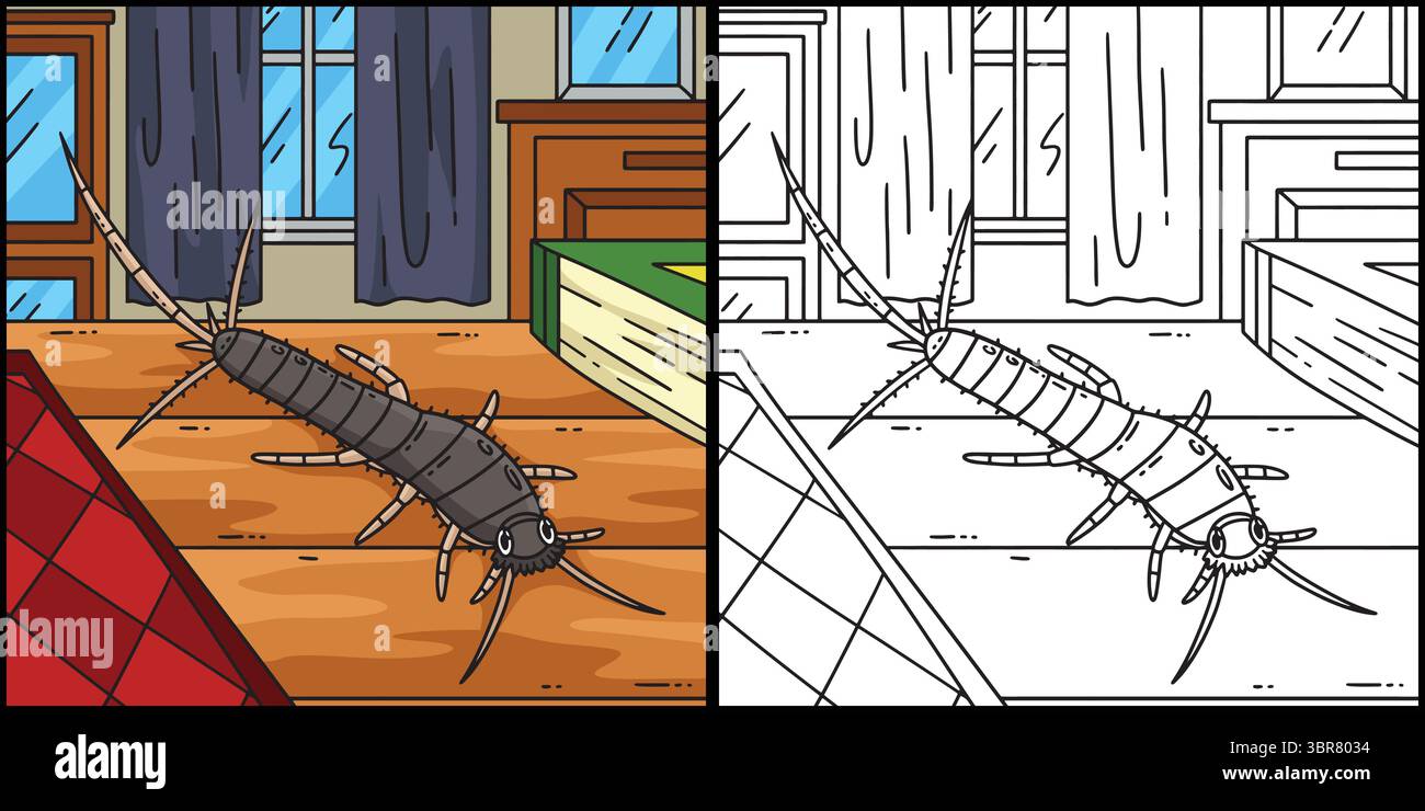 Insect Silverfish Animal Colored Illustration Stock Vector Image & Art ...