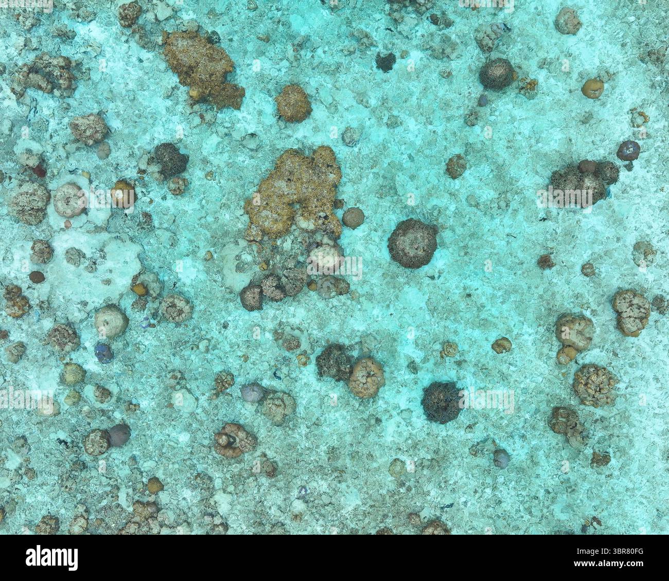 Teeming reefs hi-res stock photography and images - Alamy