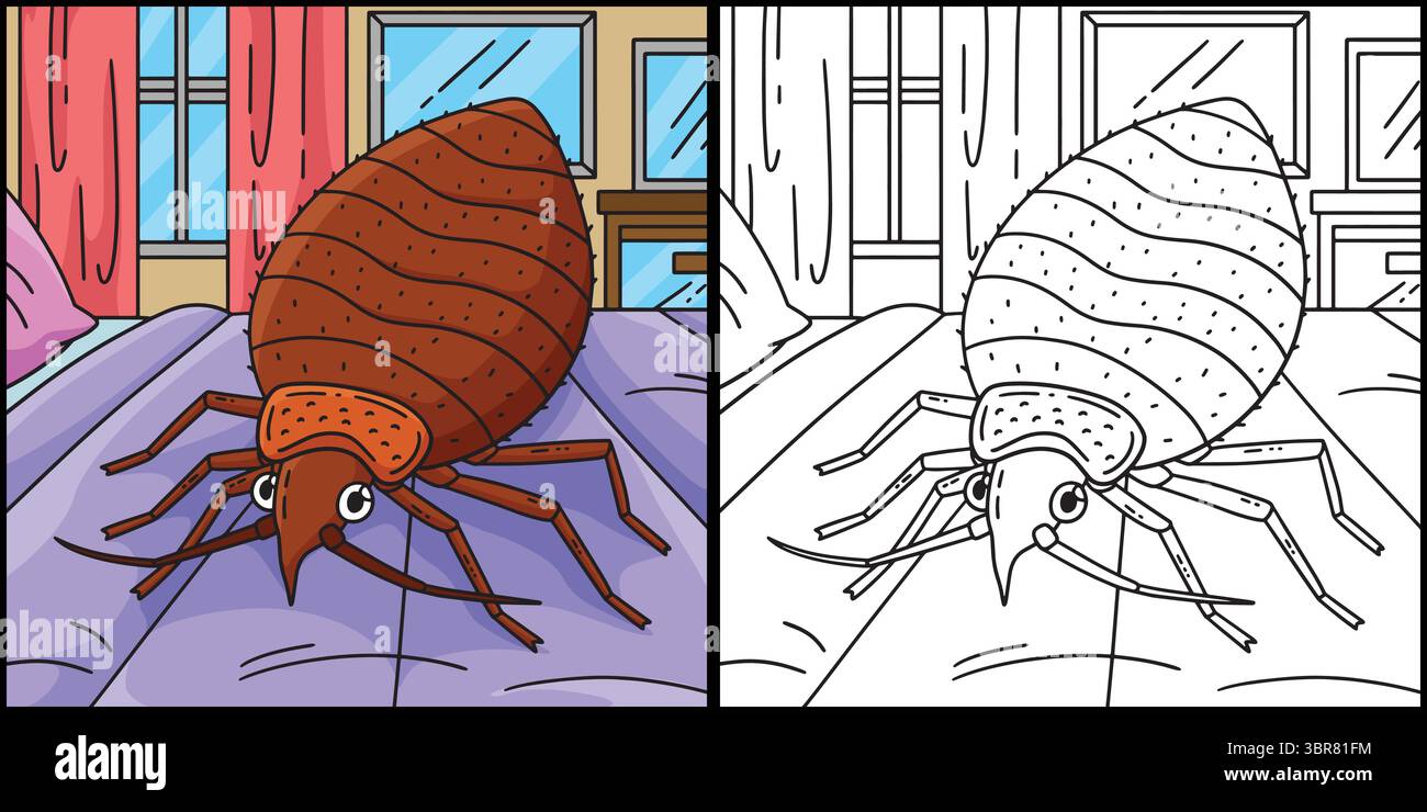Insect Bed Bug Animal Colored Cartoon Illustration Stock Vector Image ...