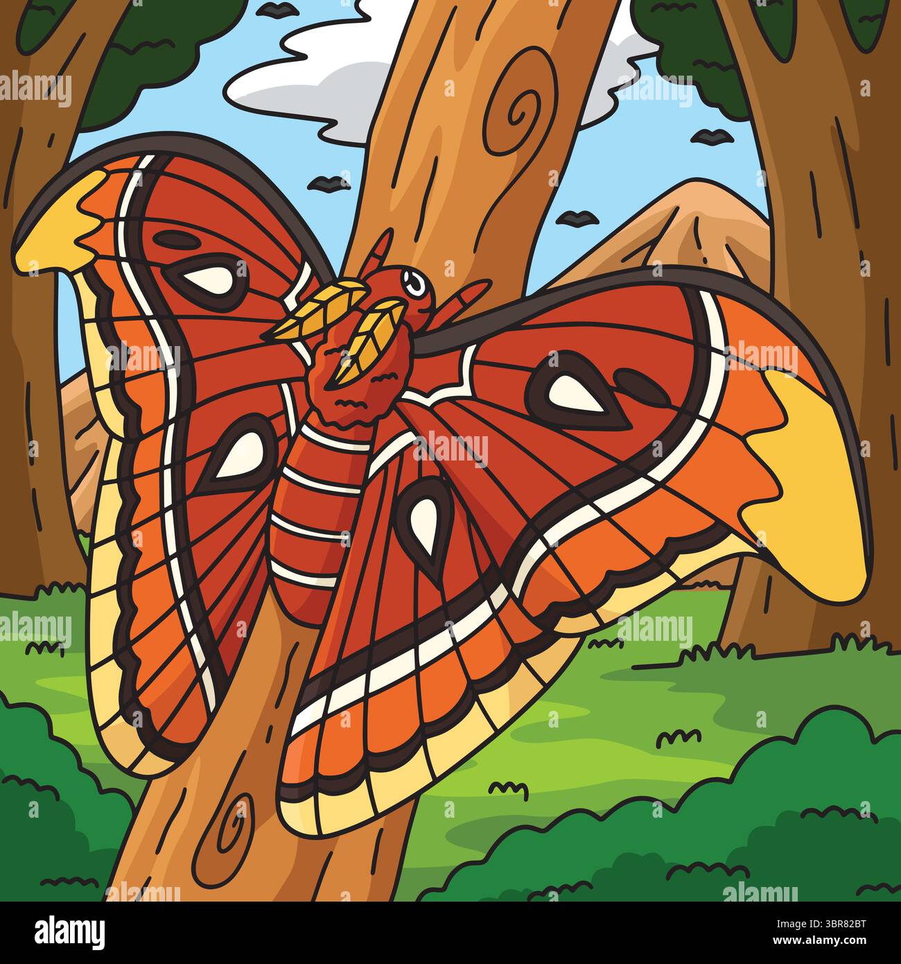 Insect Atlas Moth Animal Colored Cartoon Stock Vector Image & Art - Alamy
