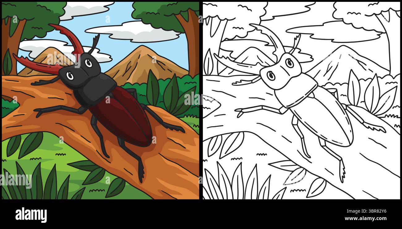 Insect Stag Beetle Animal Colored Illustration Stock Vector Image & Art ...