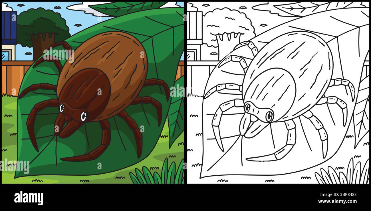 Insect Tick Animal Colored Cartoon Illustration Stock Vector Image ...