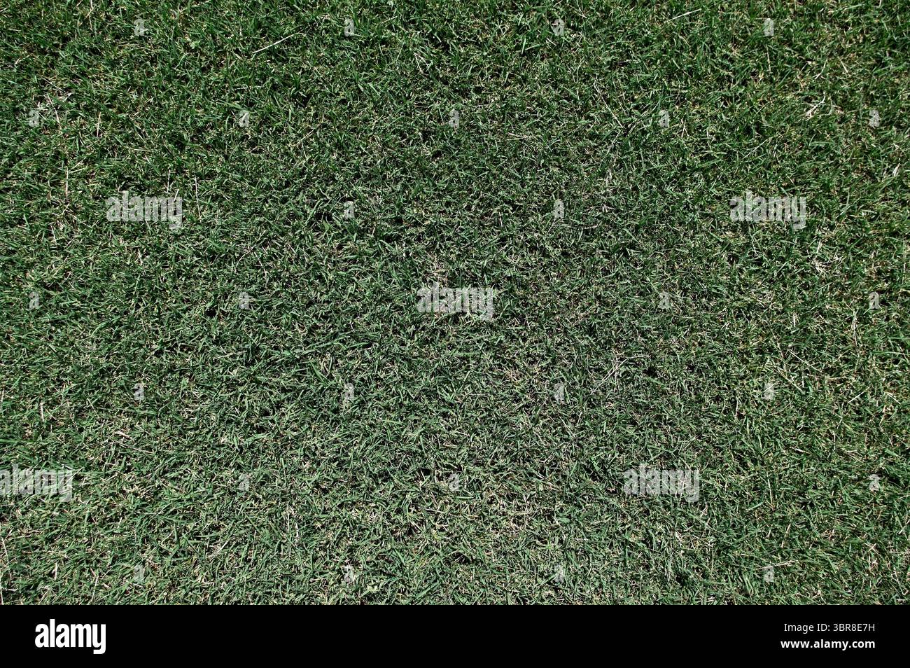 Football turf soft texture hi-res stock photography and images - Alamy