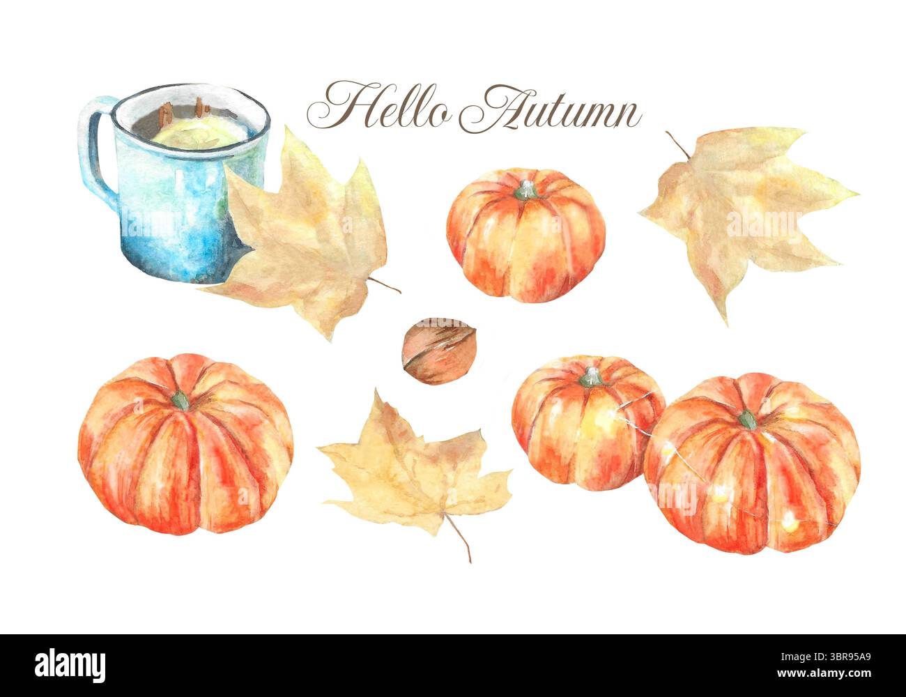 Autumn foliage pumpkins watercolor hi-res stock photography and images ...