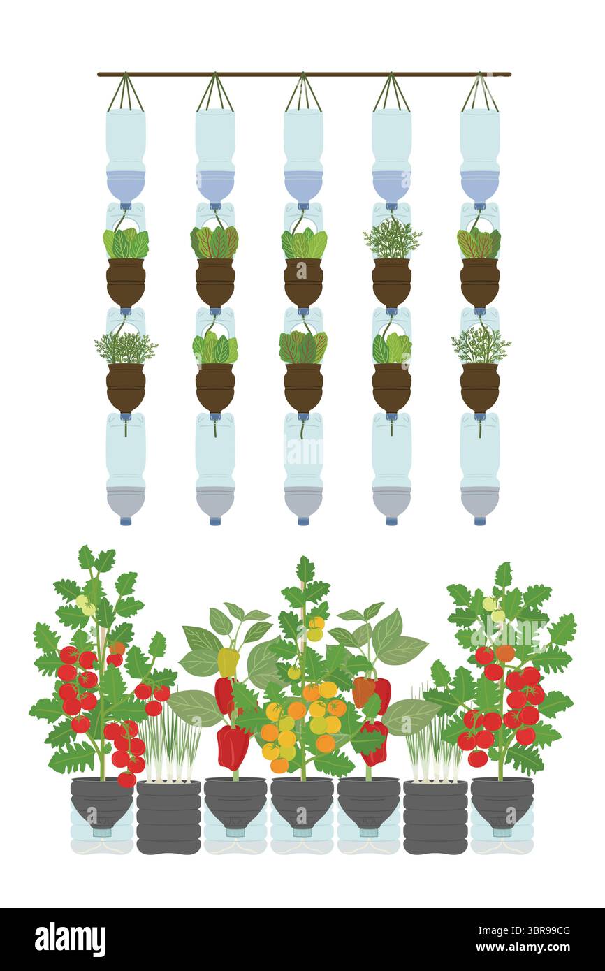 Self-watering plastic bottle planters on white background. Vertical ...