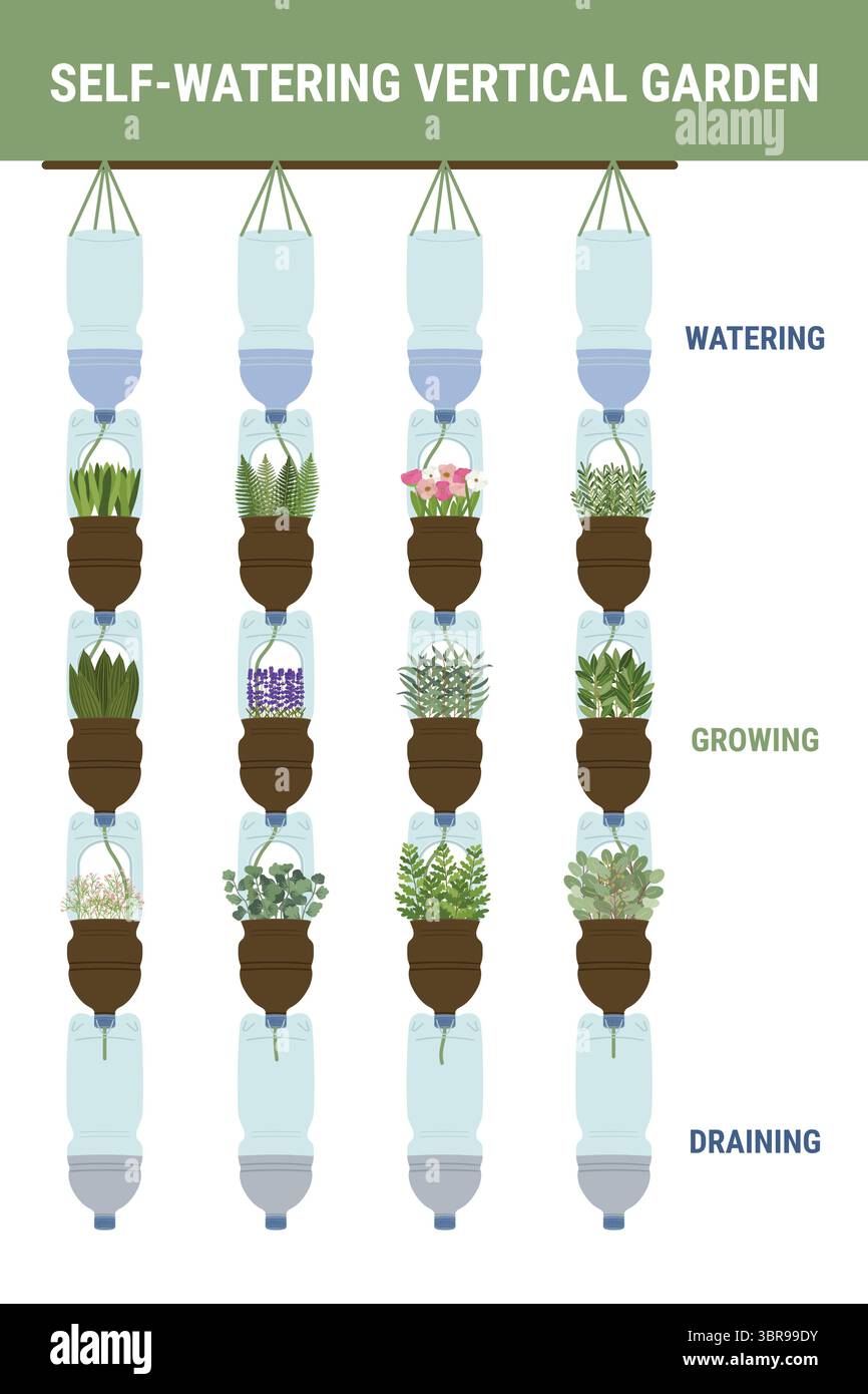 Infographic of self-watering plastic bottle planters on white ...