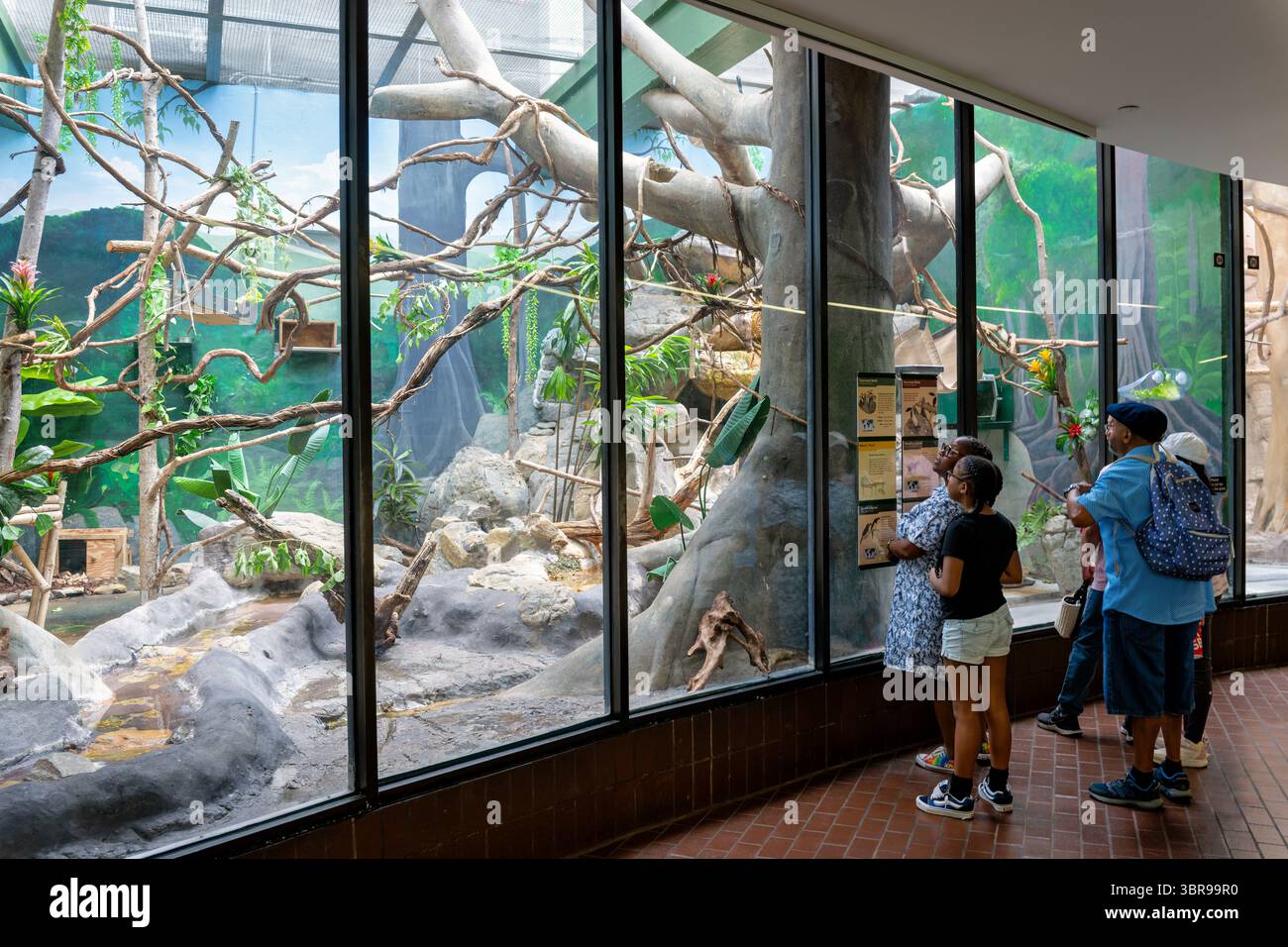 WASHINGTON DC — The Small Mammal House at the Smithsonian's National ...