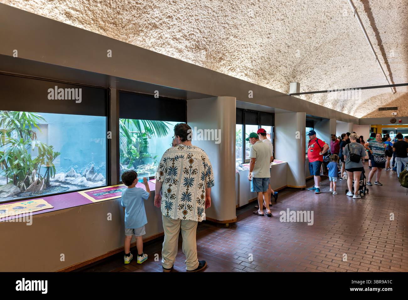 WASHINGTON DC — The interior of the Reptile Discovery Center at the ...