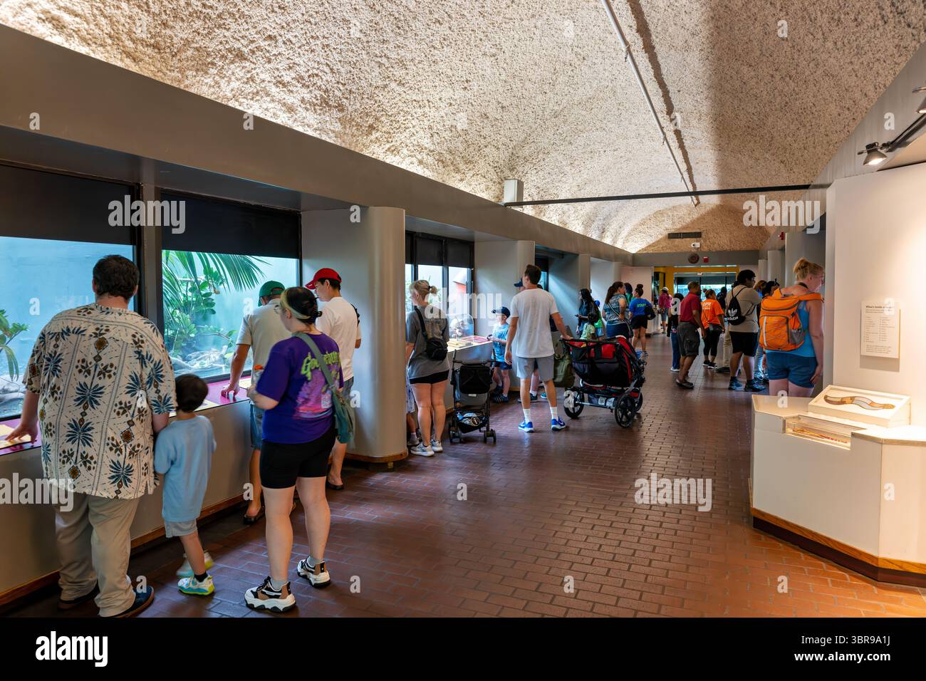 Modern zoo facility hi-res stock photography and images - Alamy