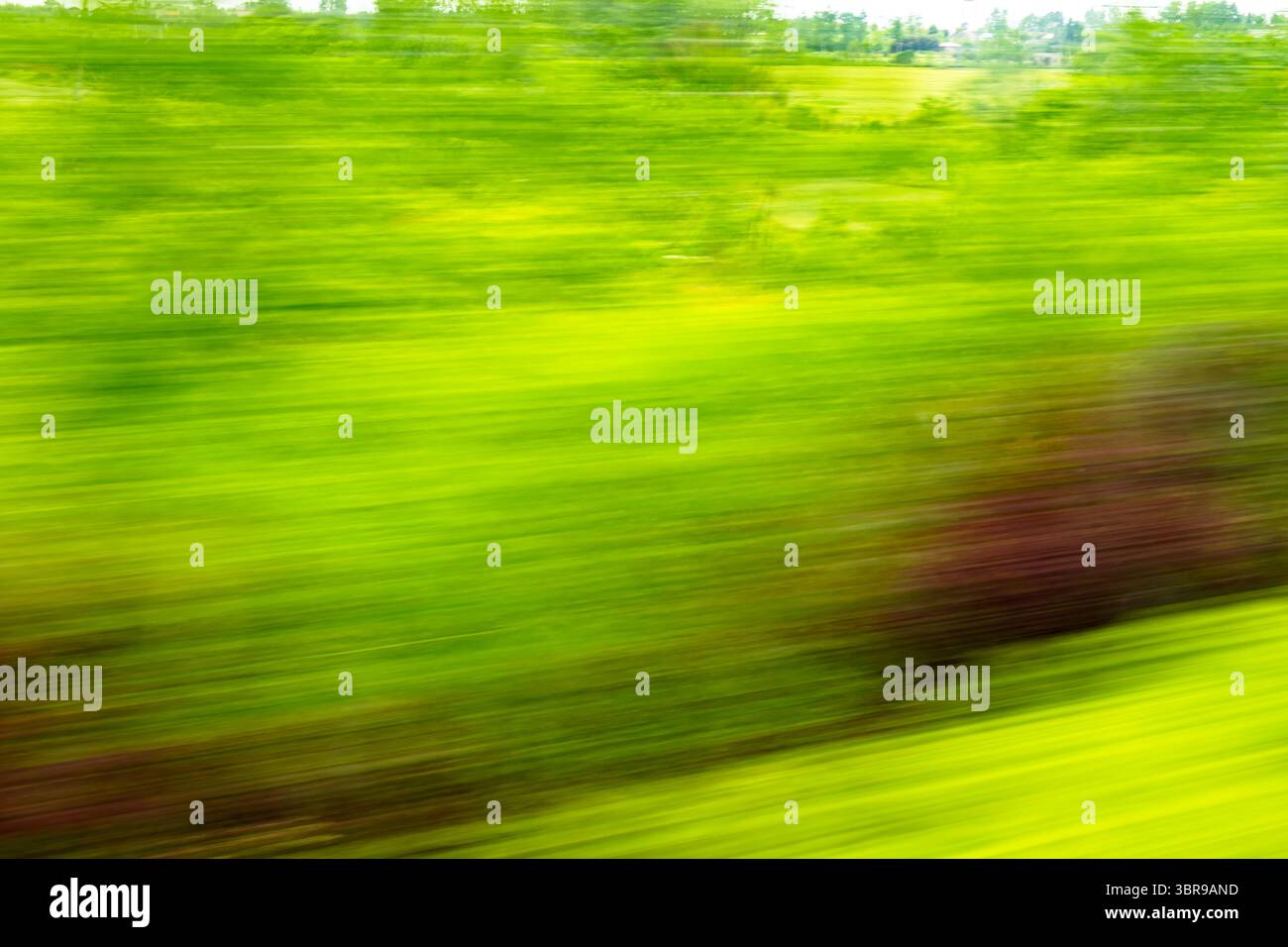Dynamic motion blur view from high-speed train window: Green landscape ...