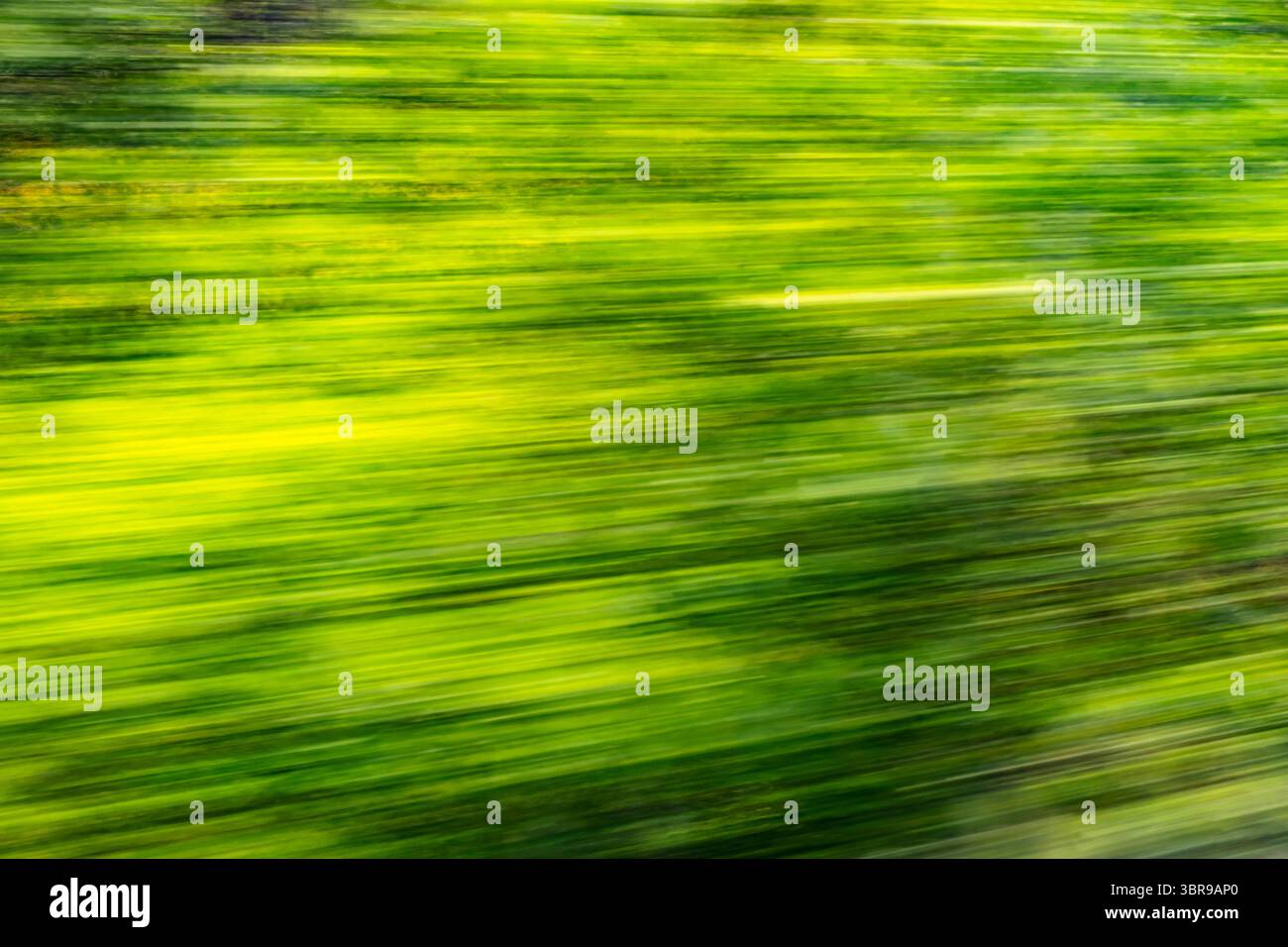 Dynamic motion blur view from high-speed train window: Green landscape ...