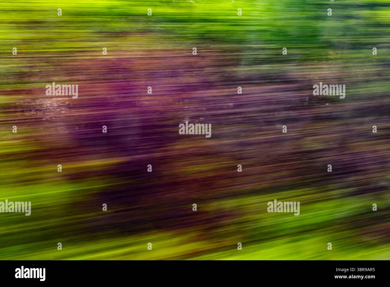 Dynamic motion blur view from high-speed train window: Green landscape ...