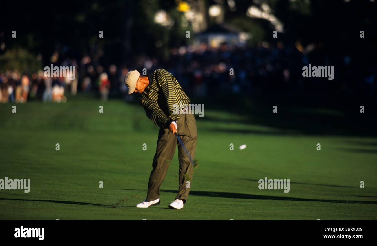 Tiger Woods at impact with the ball The 1999 Ryder Cup took place from ...