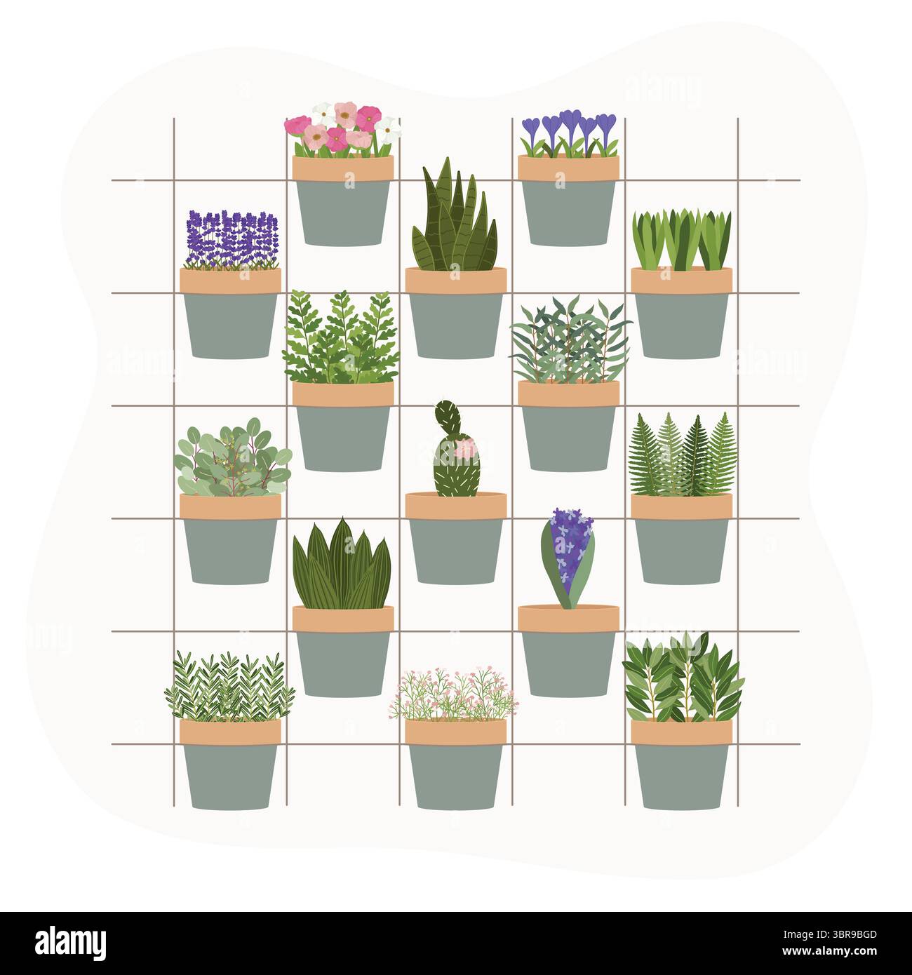 Illustration of planters with plants and flowers at home. Vertical ...