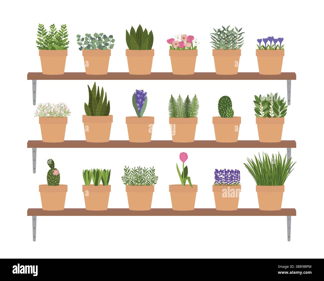Illustration of planters with plants and flowers at home shelves ...