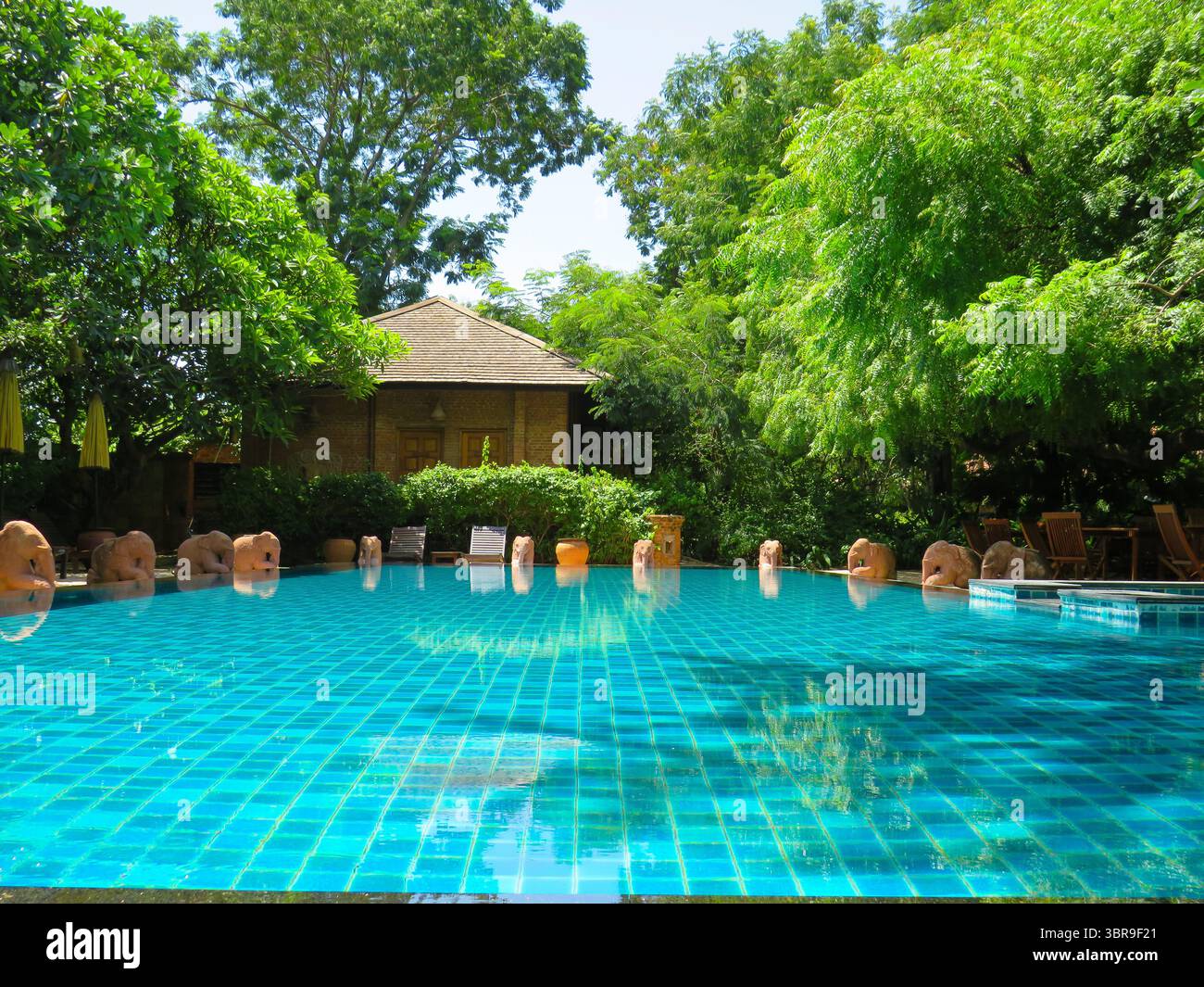 Hotel Swimming Pool Surrounded by Tropical Trees in Bagan Stock Photo ...