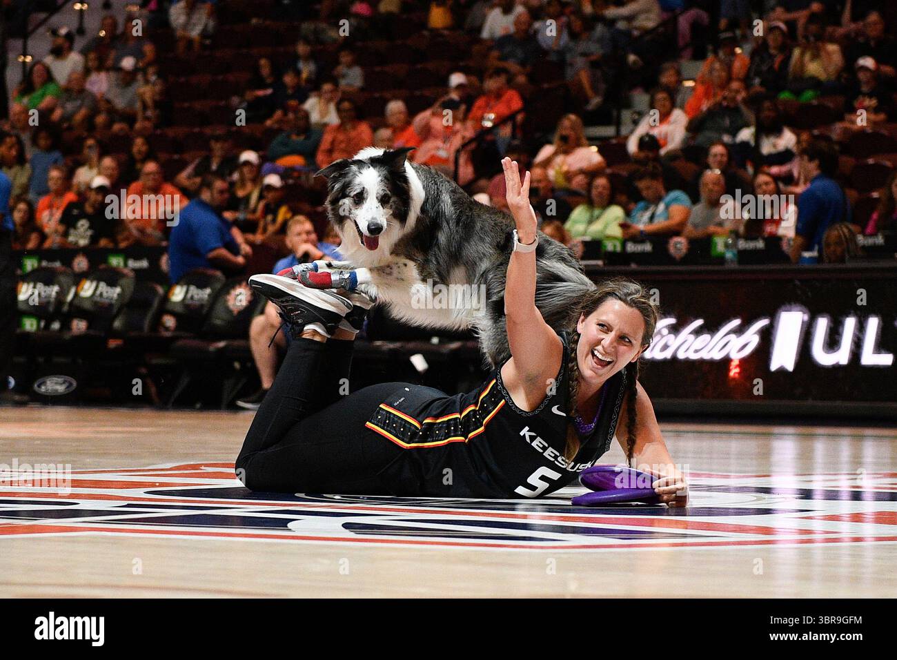 UNCASVILLE, CT - JULY 09: Chrissy Joy, a celebrity dog trainer ...