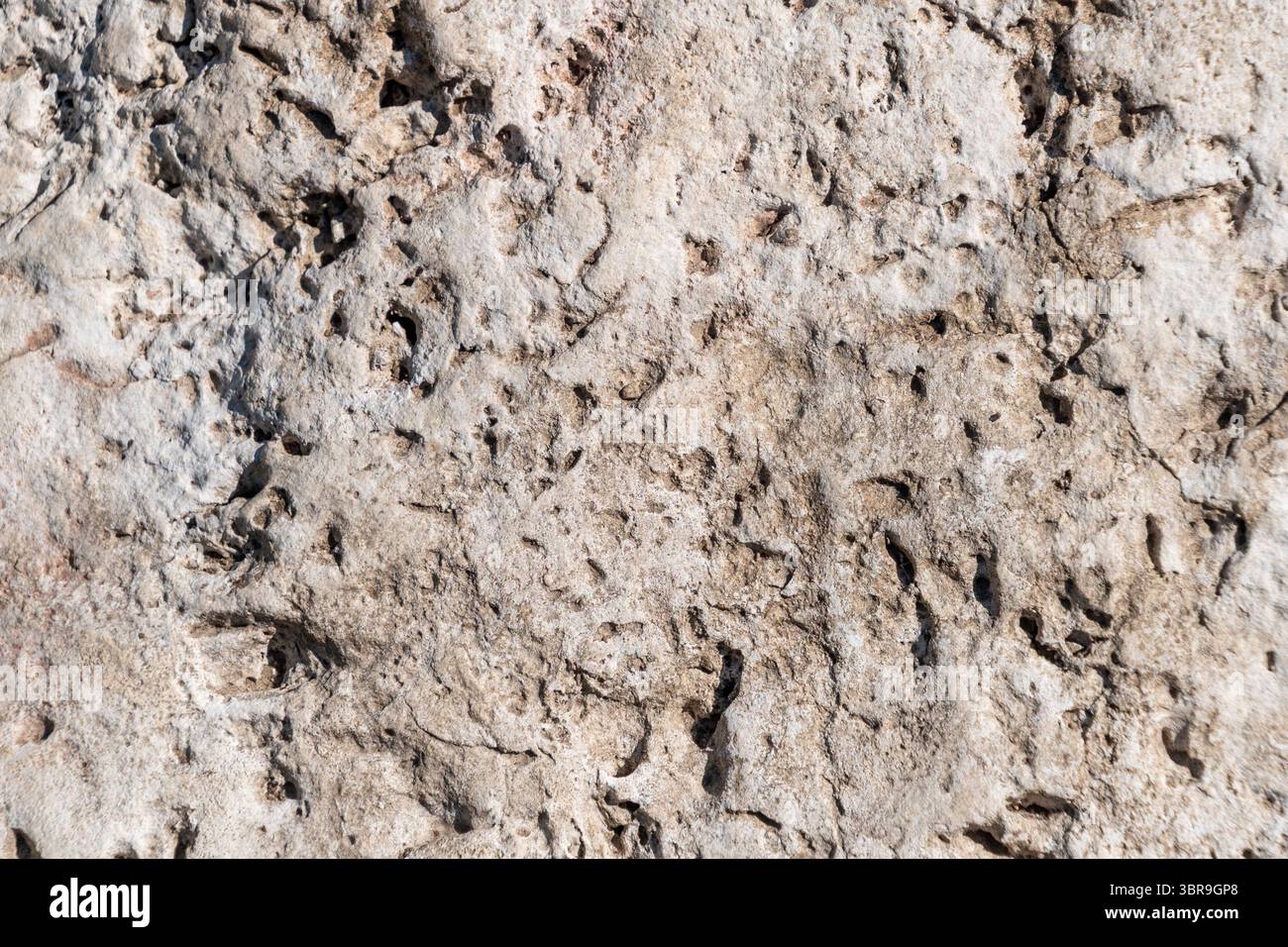 Unique porous textures hi-res stock photography and images - Alamy