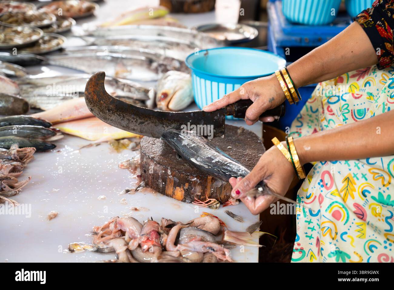 Indian Woman Cutting Fish On A Market In Mumbai India, Sales Stall With ...