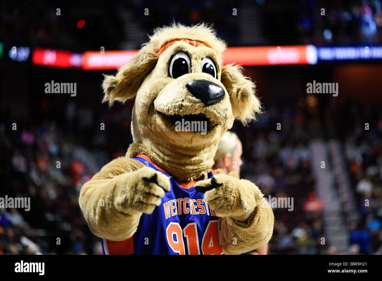 UNCASVILLE, CT - JULY 09: Hudson, the New York Knicks mascot, poses for ...