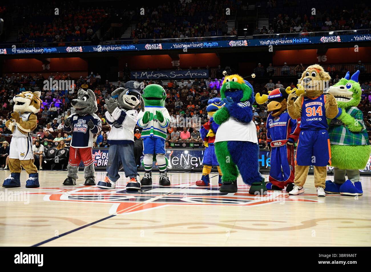 UNCASVILLE, CT - JULY 09: Mascots (from left to right) Boomer the ...