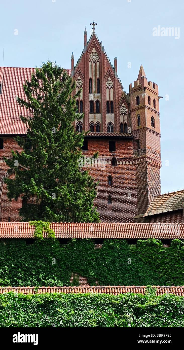 The Castle of the Teutonic Order in Malbork. Malbork Castle located in ...