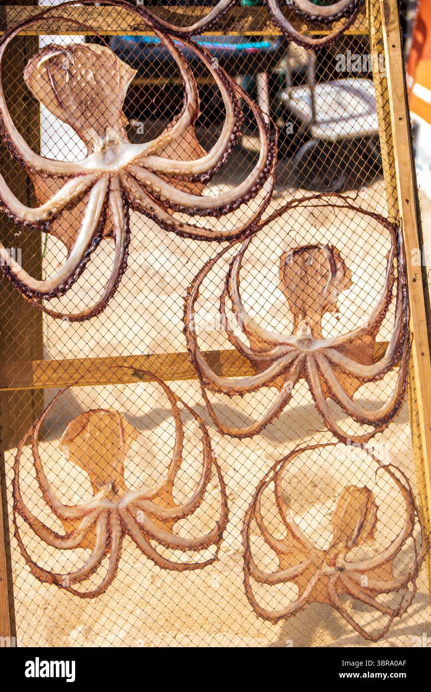 sun-drying fish is a traditional practice to preserve the day's catch ...