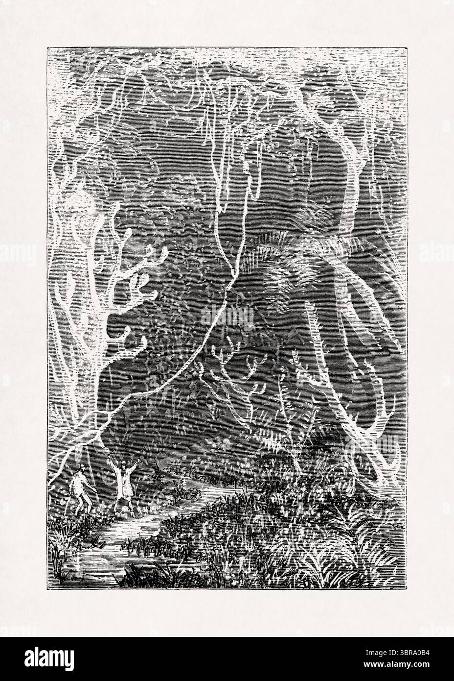 Illustration depicting Professor Lidenbrock and Axel discovering a ...