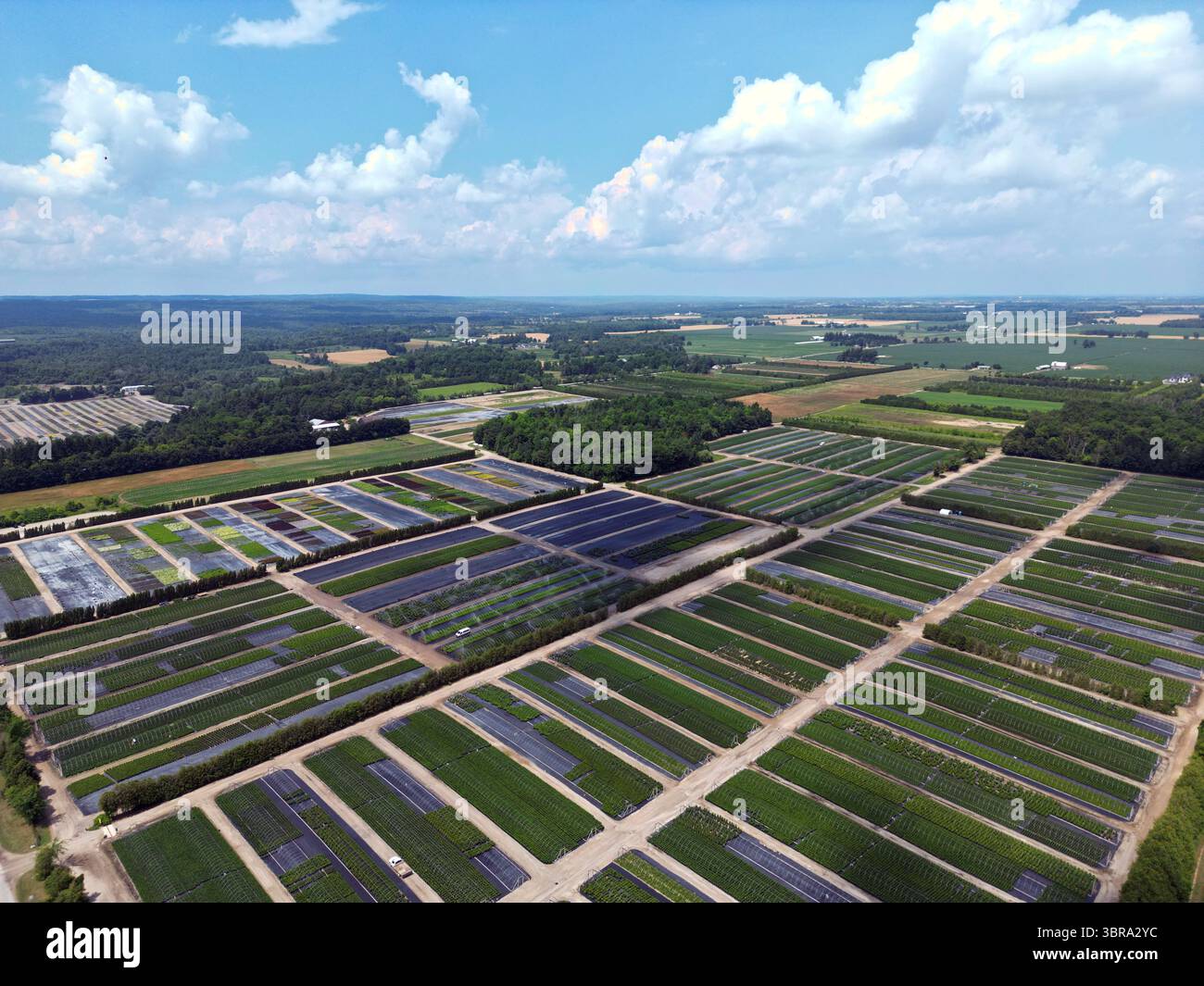 Aerial view of a large-scale horticultural nursery with rows of ...