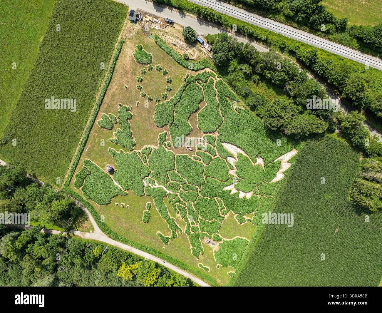 11 July 2025, Bavaria, Utting: The aerial view of a labyrinth in a ...
