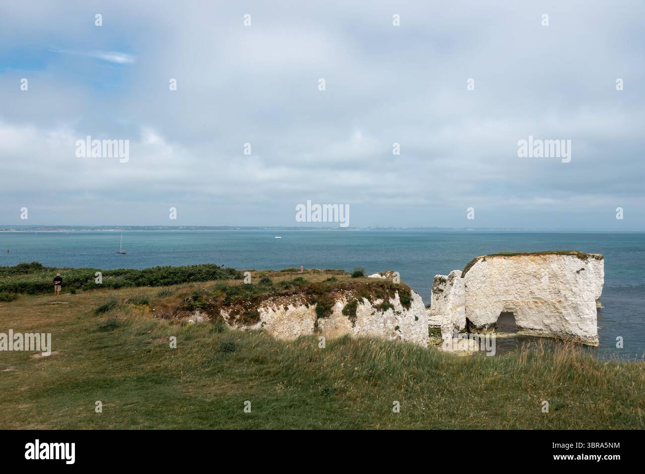 Old Harry Rocks standing tall on Handfast Point at the southern end of ...