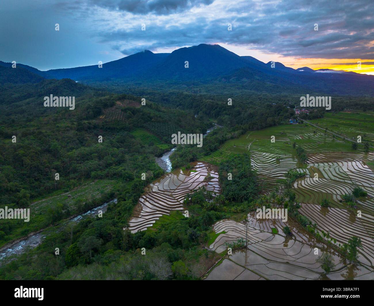 the beauty of Indonesia with mangrove forests and beaches at sunset ...