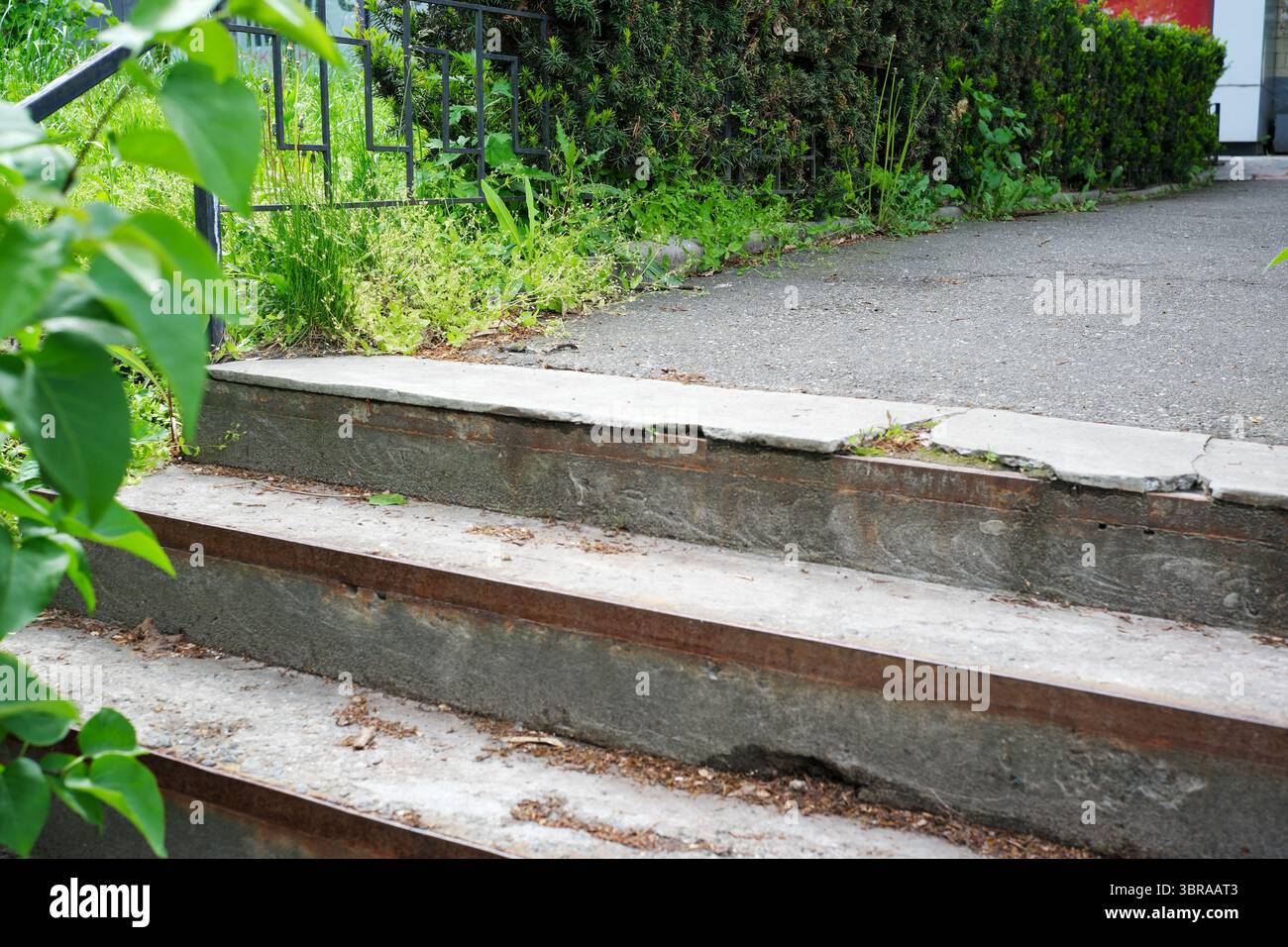Weathered steps meander through vibrant plants in a peaceful ...
