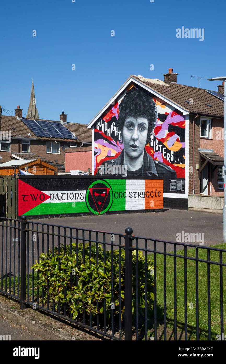 political murals in Derry City Stock Photo - Alamy