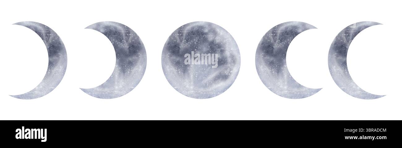 Beautiful grey and white Moon phases isolated on white background ...