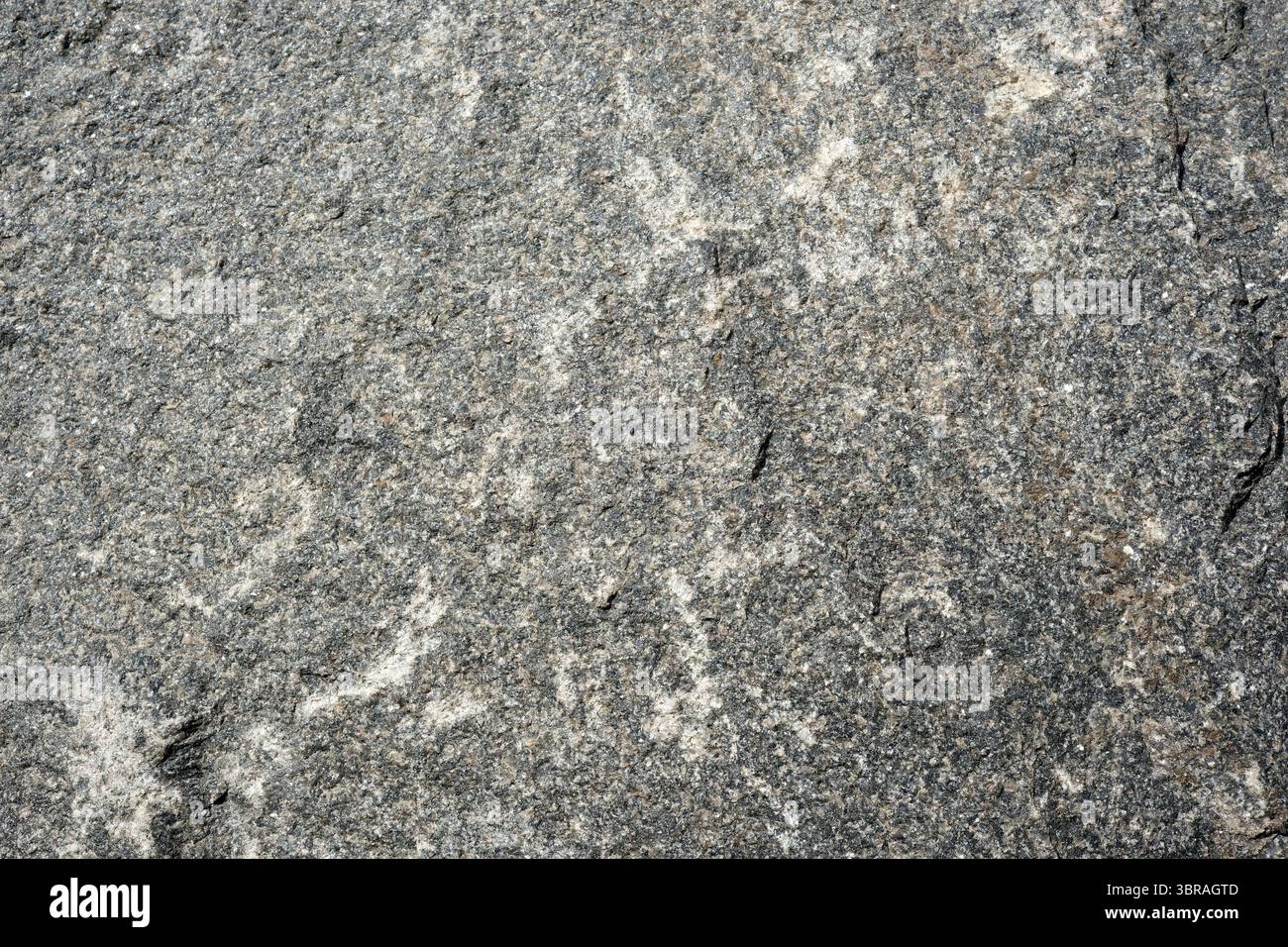 Natural artistry reveals historic markings on a weathered rock face ...