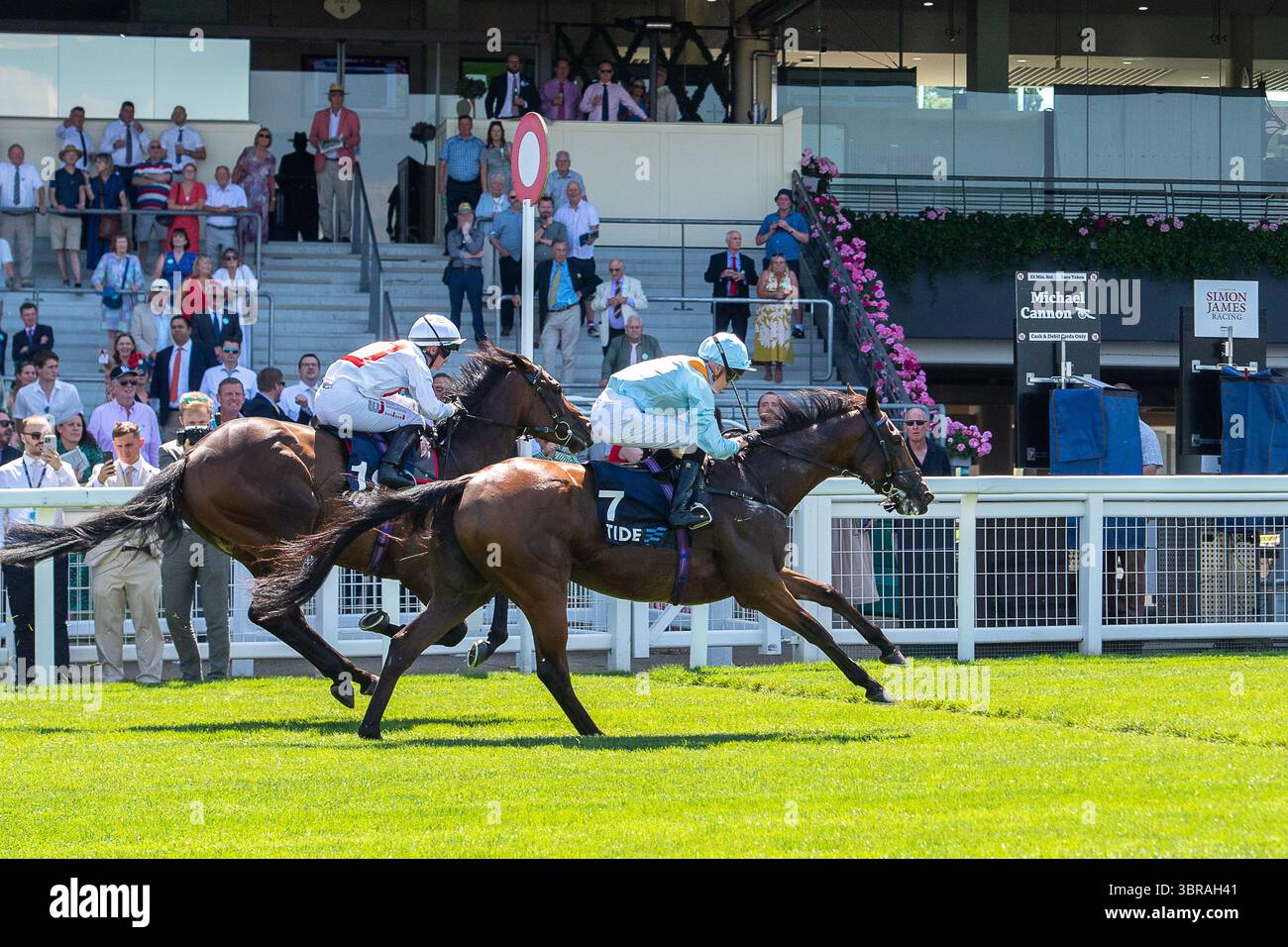 Owner middlesham park hi-res stock photography and images - Alamy