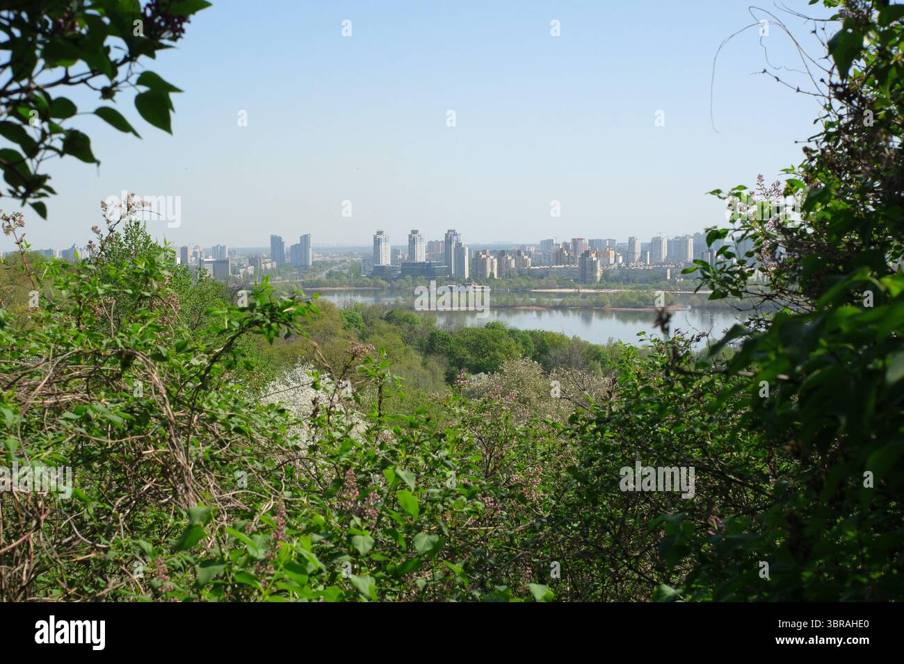 Lush green vegetation surrounds a vibrant city skyline under a clear ...