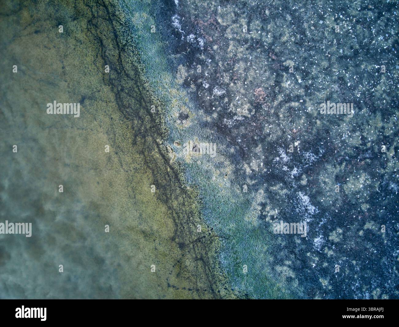 Aerial view of the shoreline's contrasting textures where the land ...