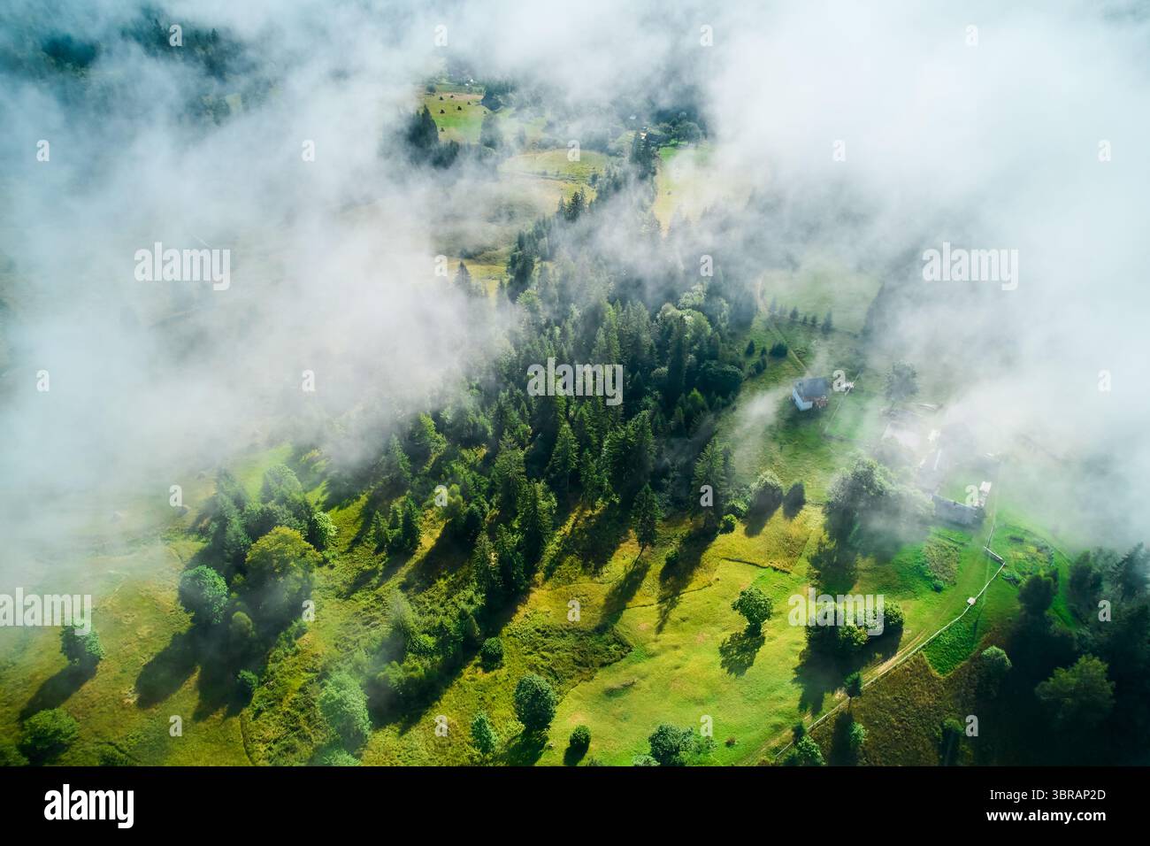 Aerial view of lush green landscape, partially shrouded in layer of ...