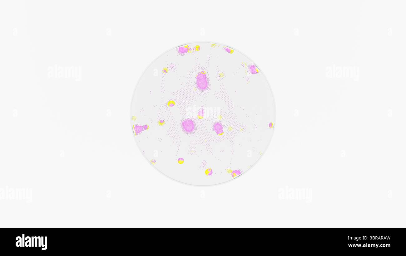 Pastel-pink and yellow bacterial colonies expand across a clear petri ...