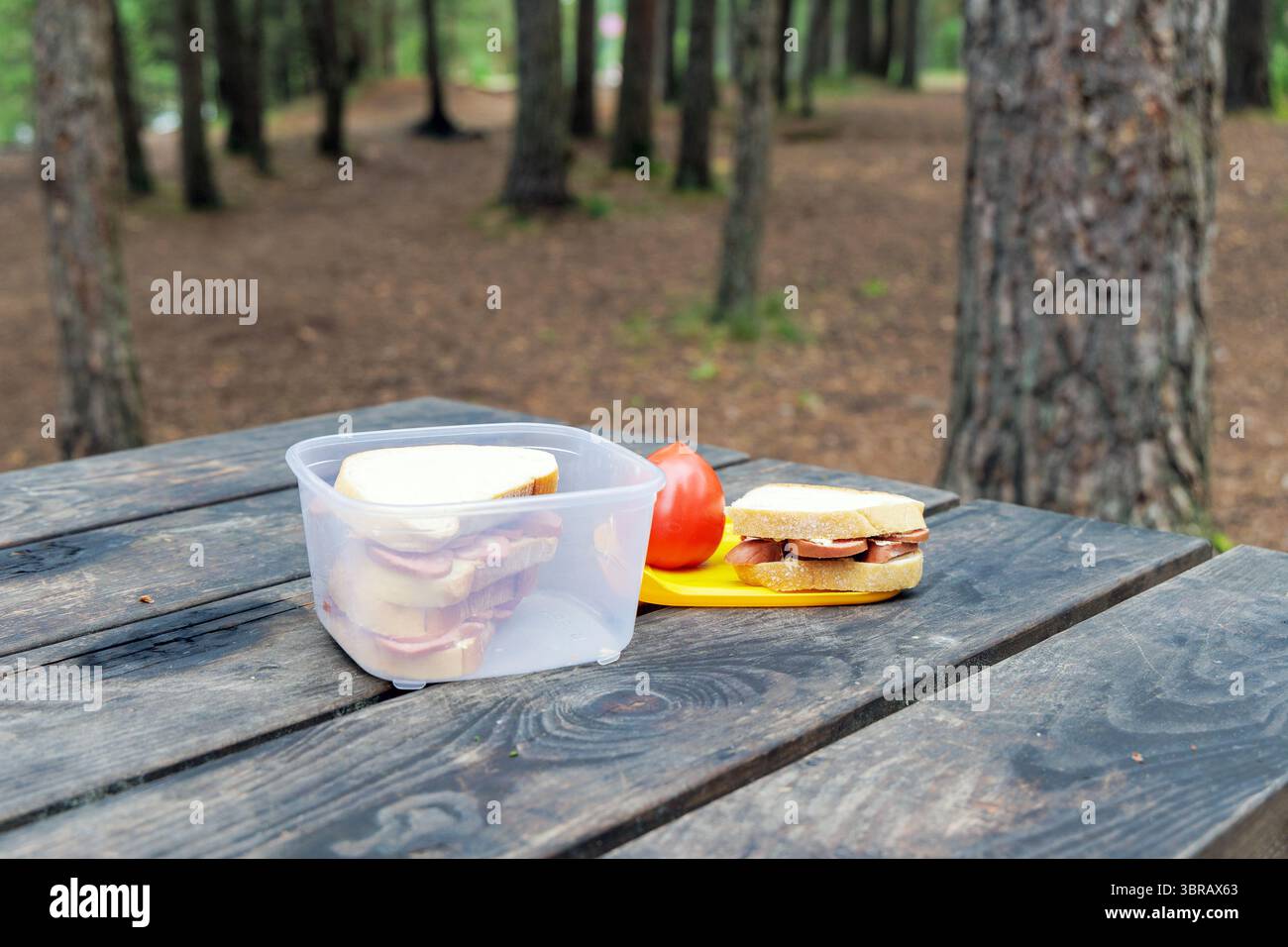 A simple picnic set on a rustic wooden table in a peaceful pine forest ...