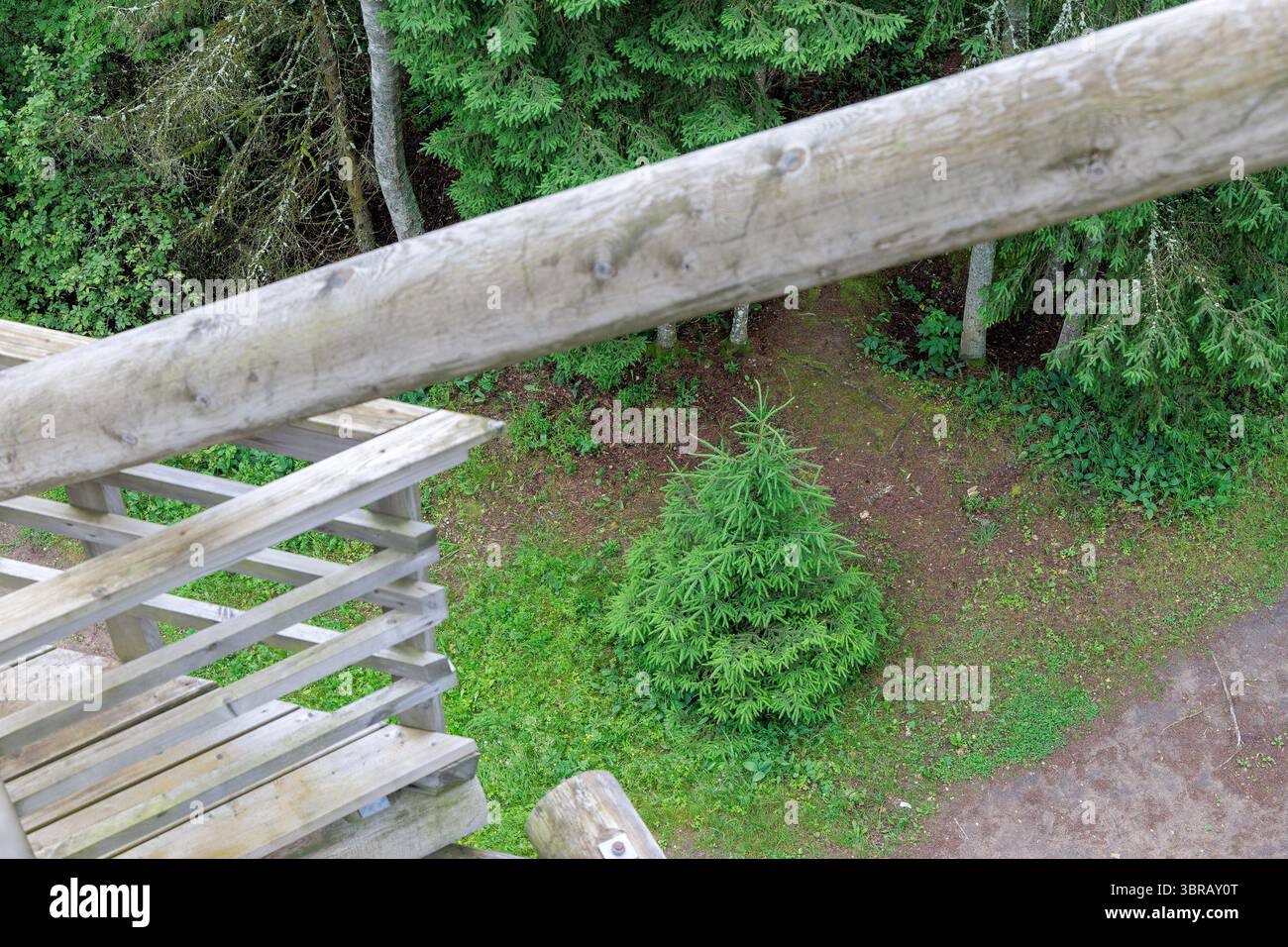 An elevated, top-down perspective from a wooden observation tower ...