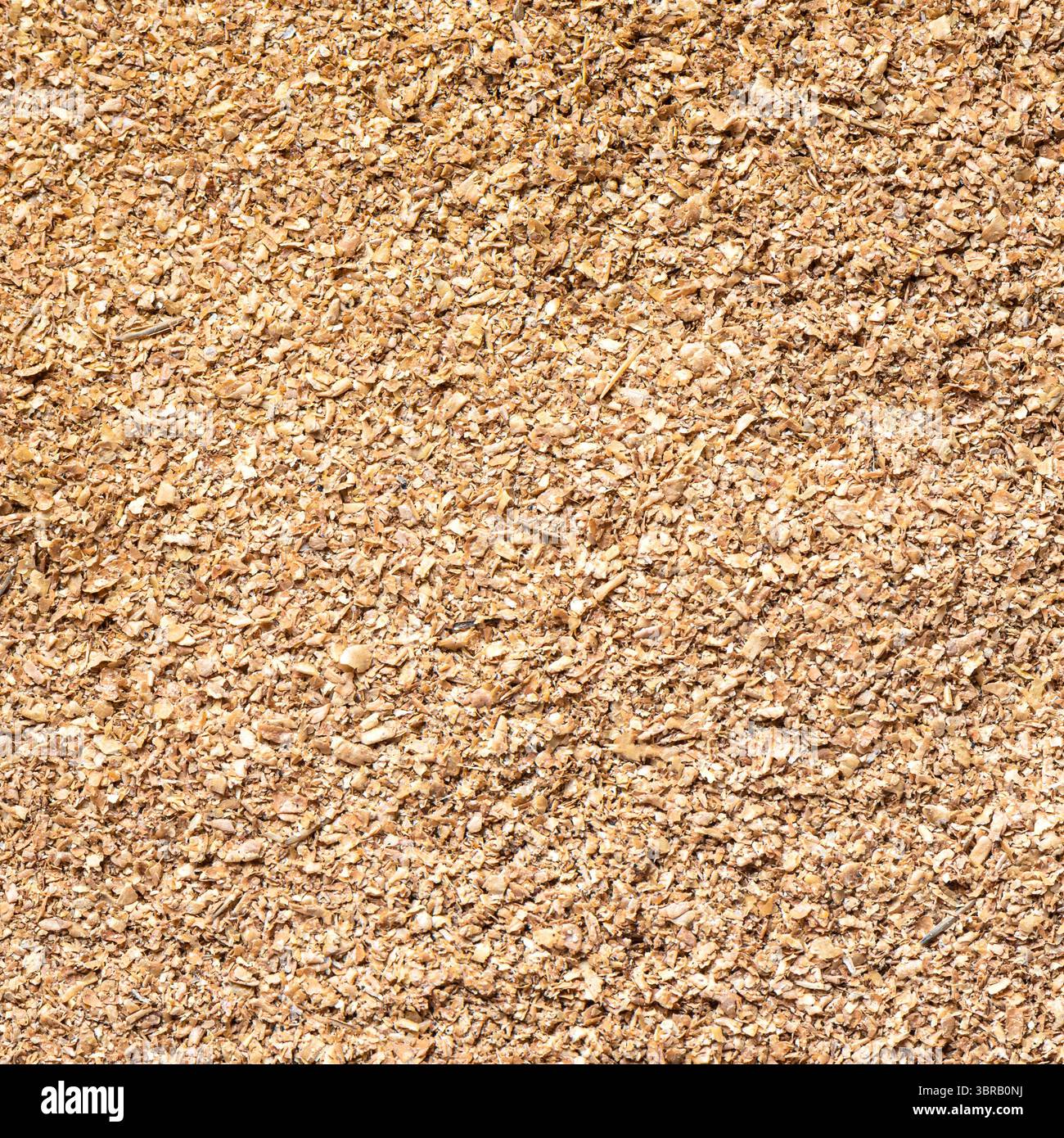 Wheat bran fiber as background, square format. Detailed texture of ...