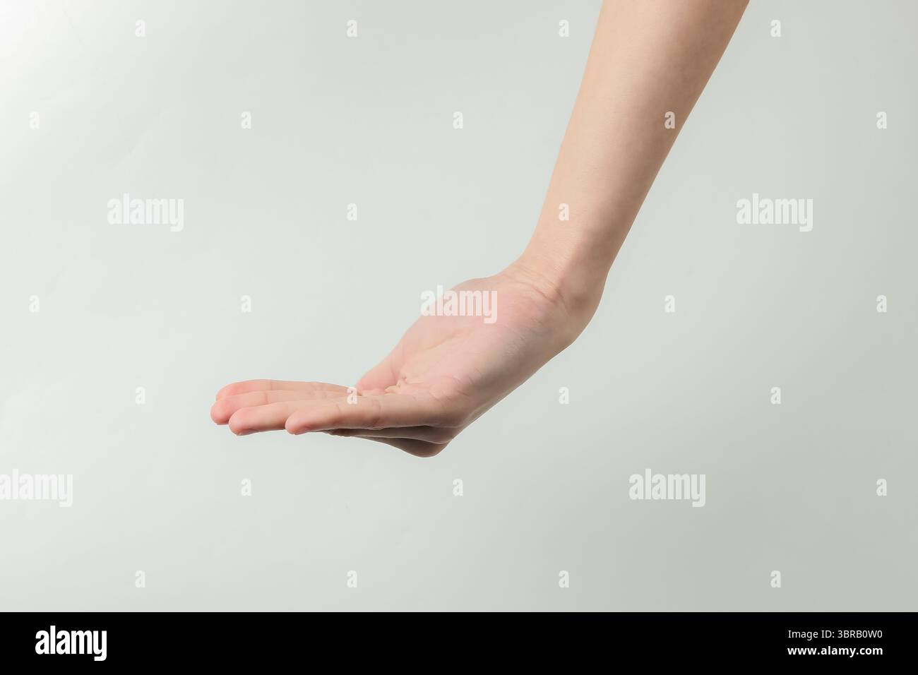 Female palm for your text on a white background Stock Photo - Alamy