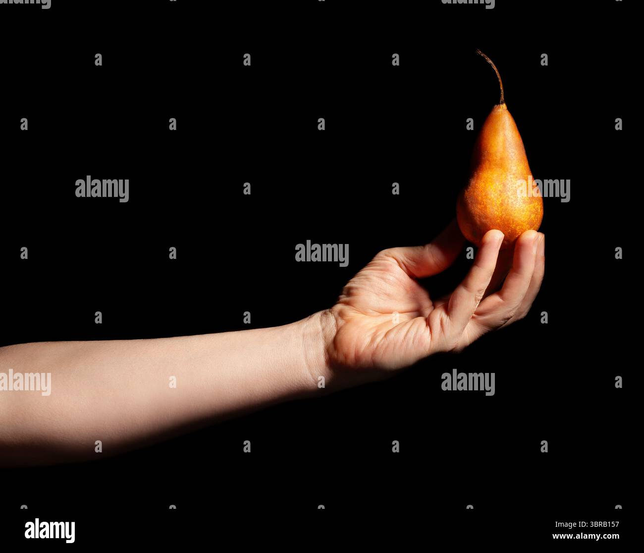 Pear fruit isolated hand hi-res stock photography and images - Alamy